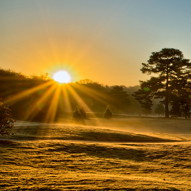 The Sun Came Up This Morning – fumchurstblog